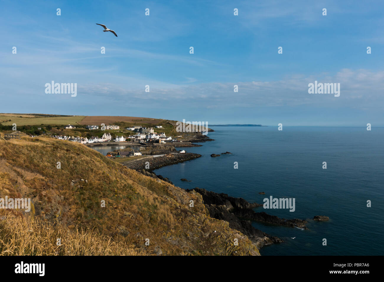 Danger cliff sign Portpatrick, Scotland Stock Photo - Alamy