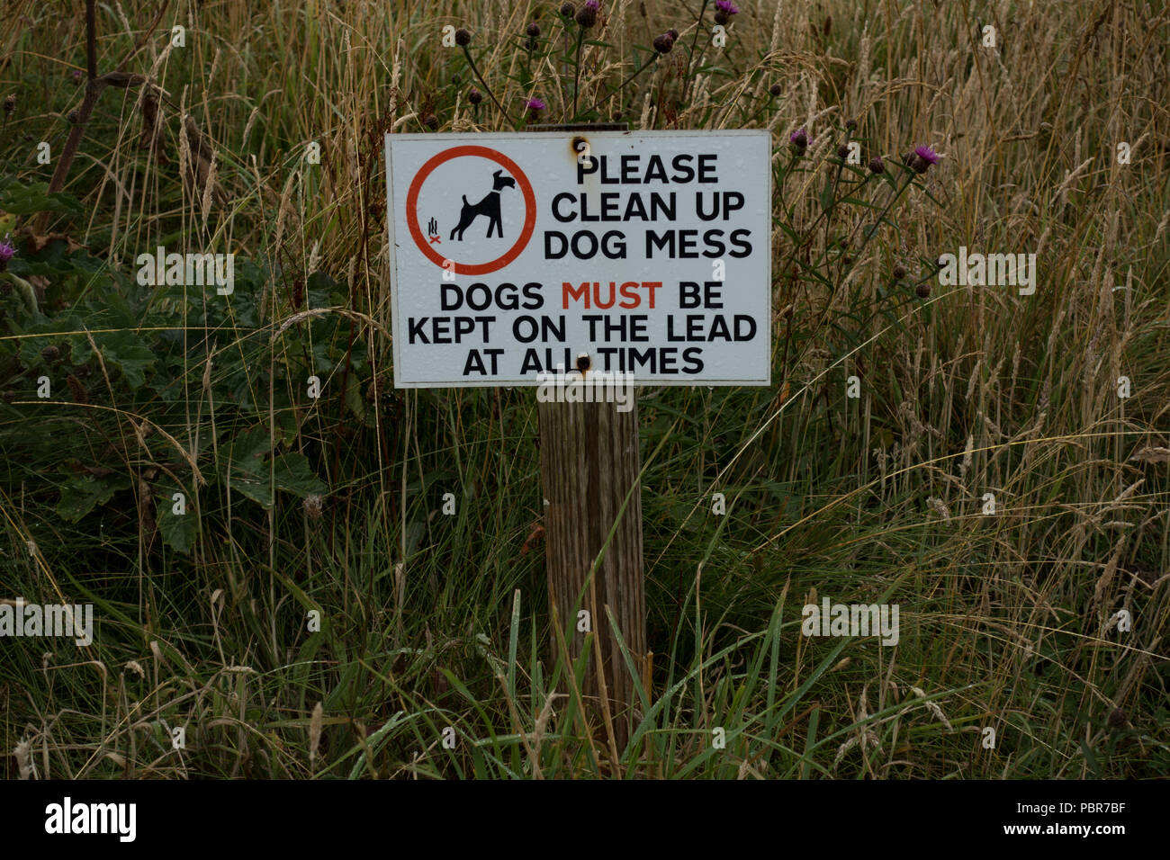 Dog mess sign hi-res stock photography and images - Alamy