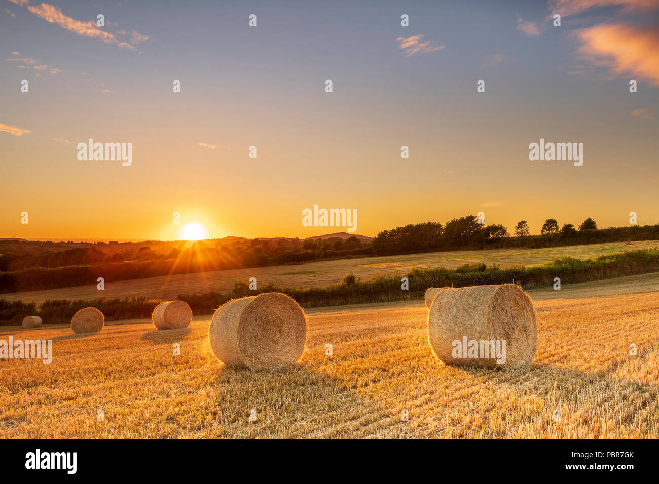 English farm field after harvesting hi-res stock photography and images ...