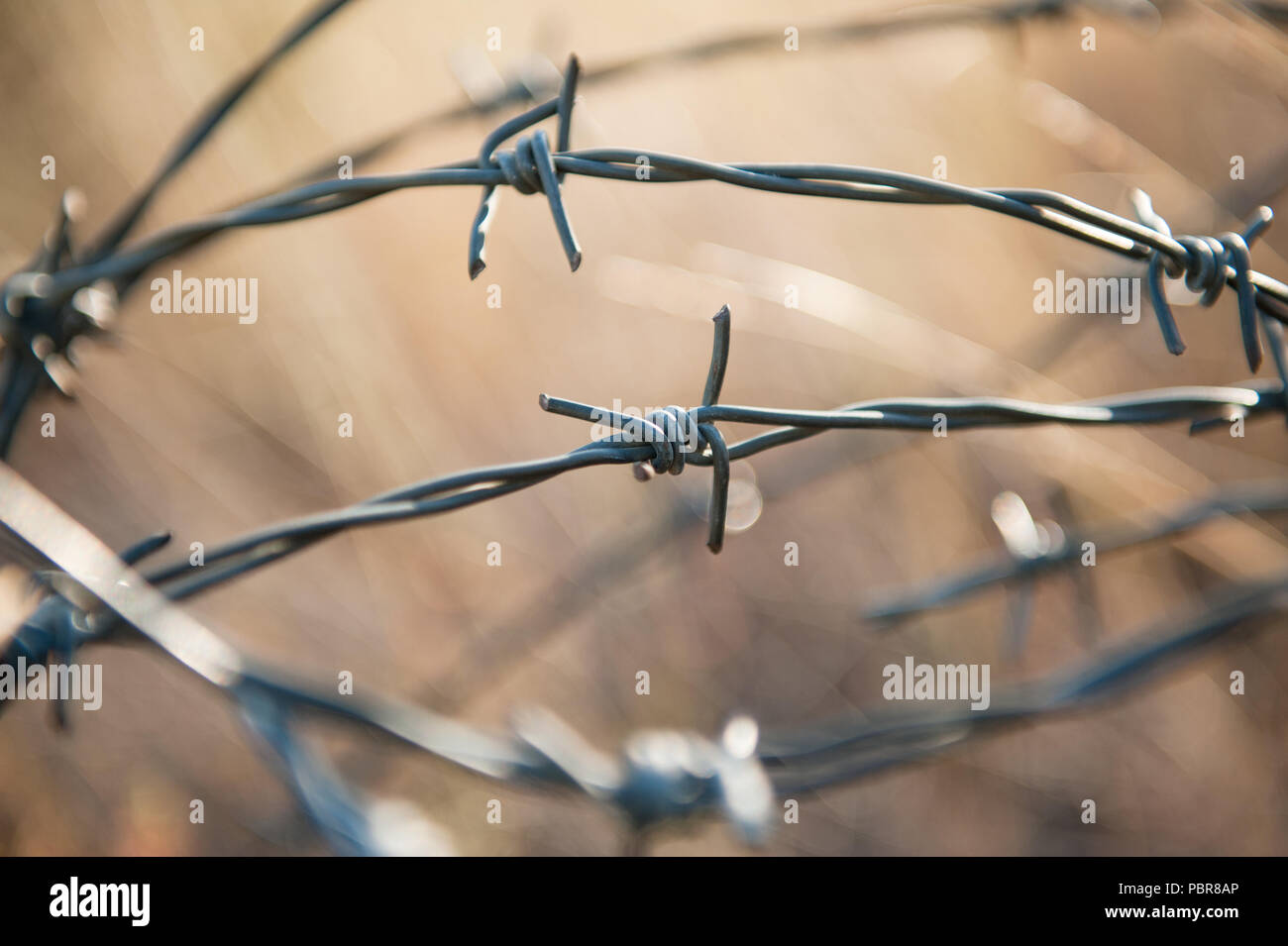 Spiky barbed wire fencing hi-res stock photography and images - Alamy