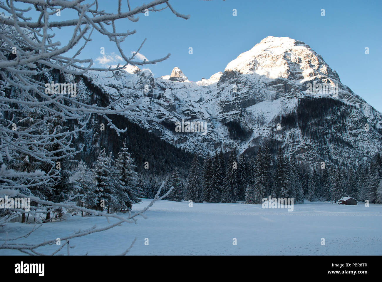 Winter toronto landscapes hi-res stock photography and images - Alamy