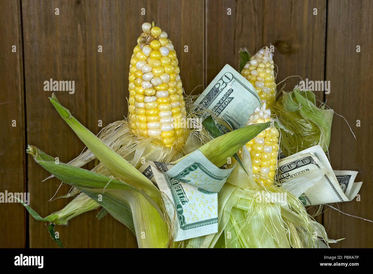 American silk plant hi-res stock photography and images - Alamy
