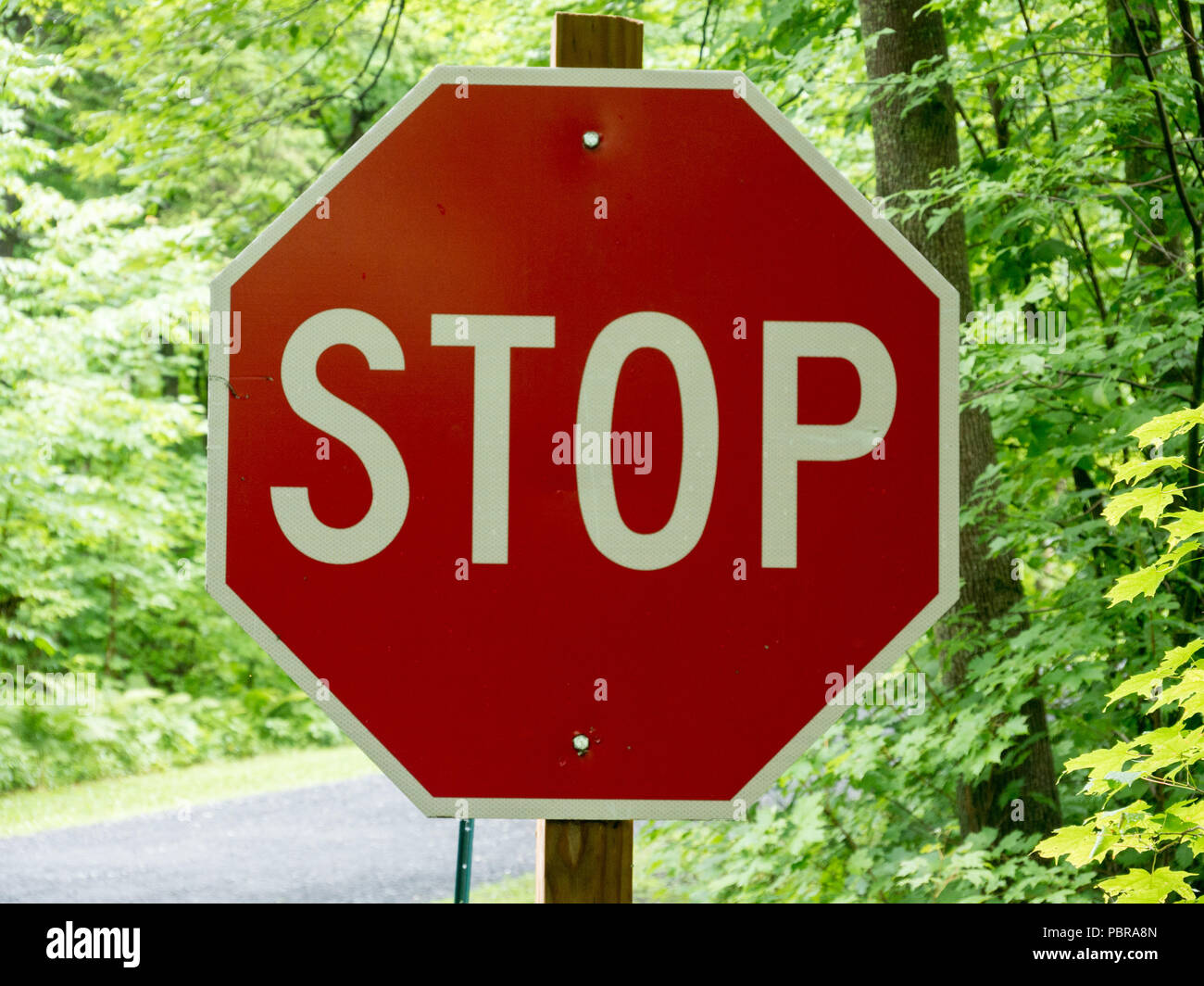 Stop sign and green forest Stock Photo - Alamy