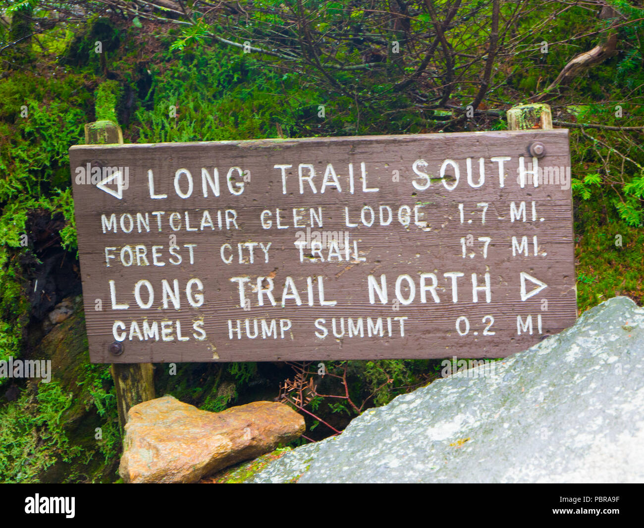 The Long Trail is a popular hiking trail that runs throughout the state ...