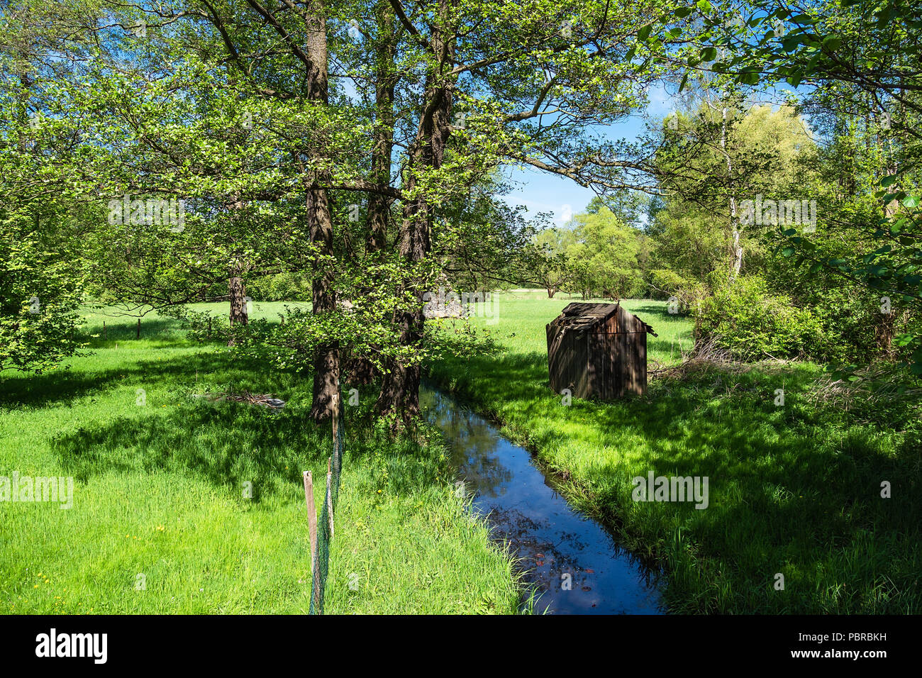 Landscape with creek in the Spreewald area, Germany Stock Photo - Alamy