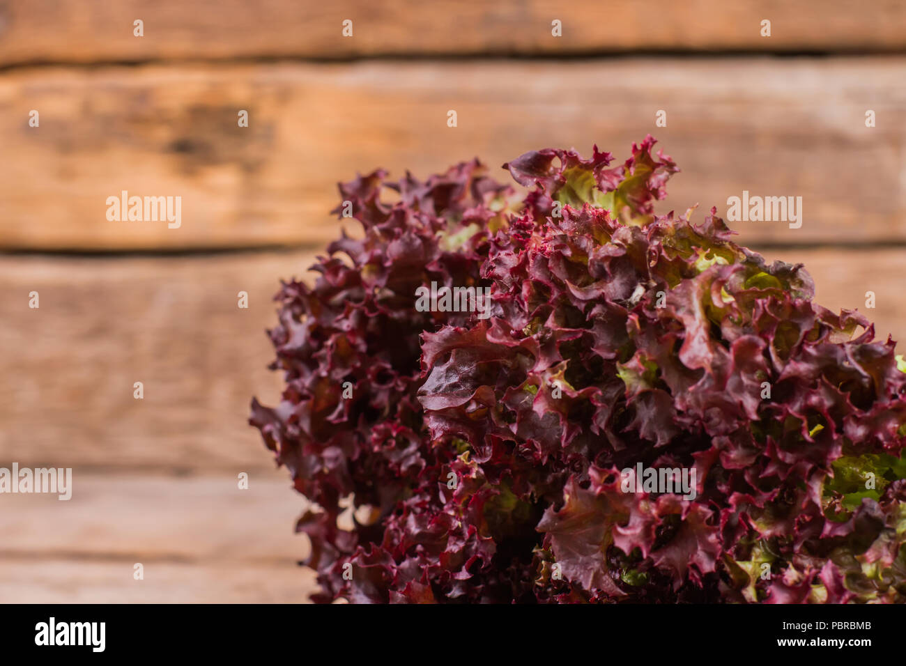 Salad leaves, purple lettuce. Close up. Old rustic wooden background ...