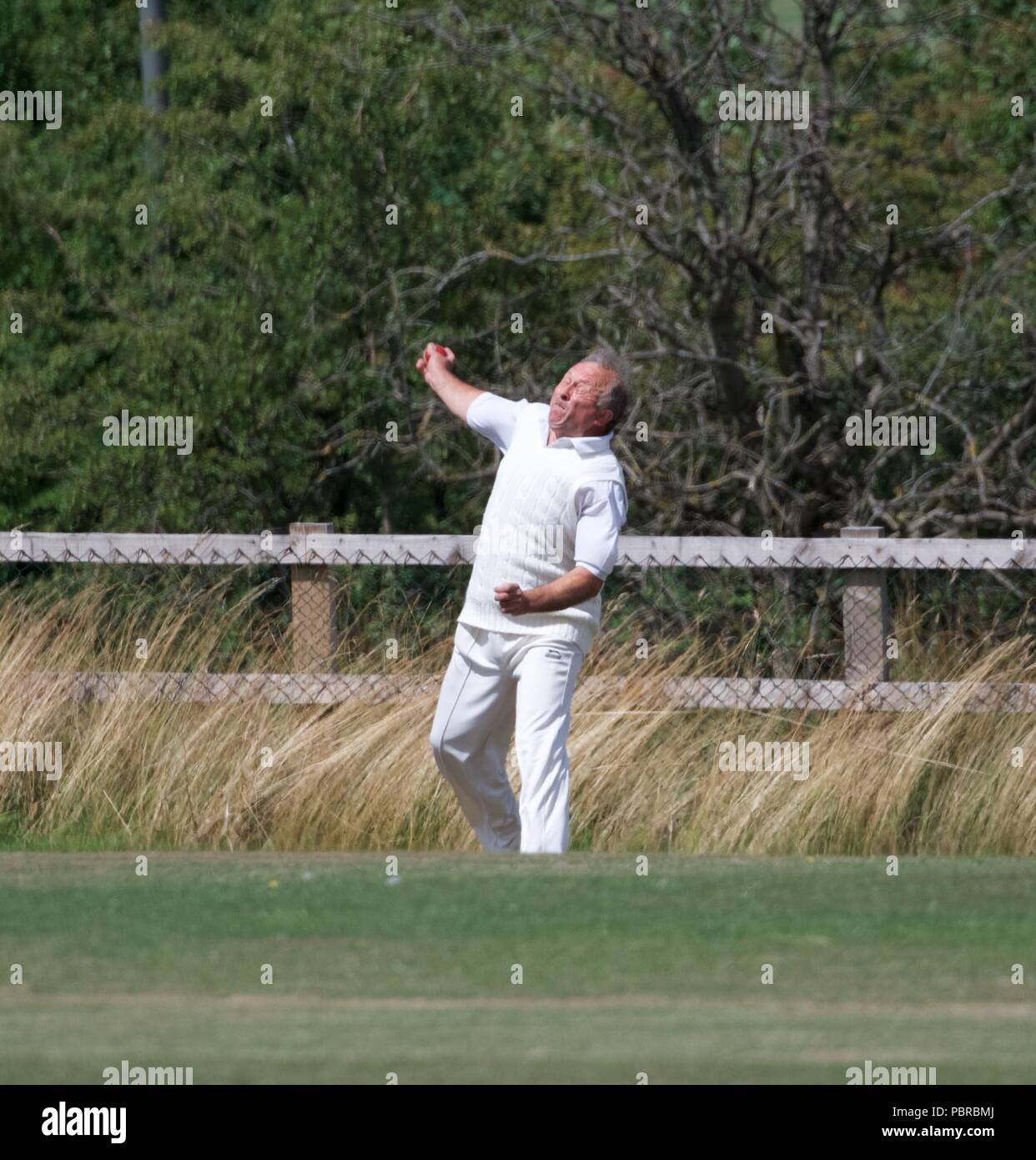 Cricket ball in the grass hi-res stock photography and images - Alamy