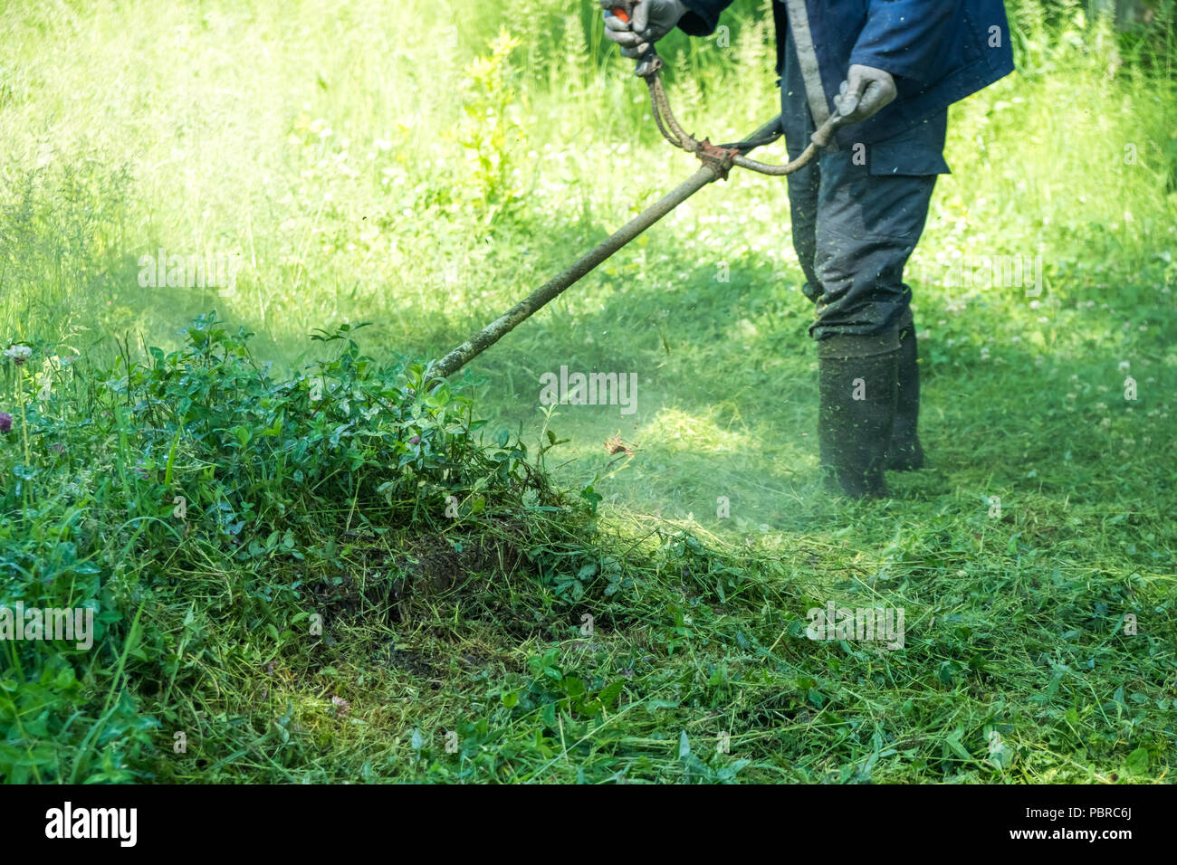 The gardener cutting grass by lawn mower Stock Photo - Alamy