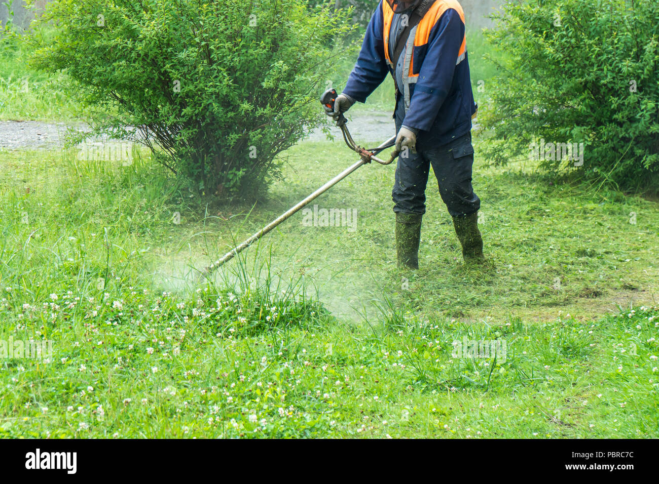 The gardener cutting grass by lawn mower Stock Photo - Alamy