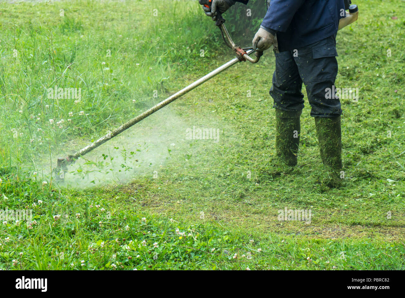 The gardener cutting grass by lawn mower Stock Photo - Alamy
