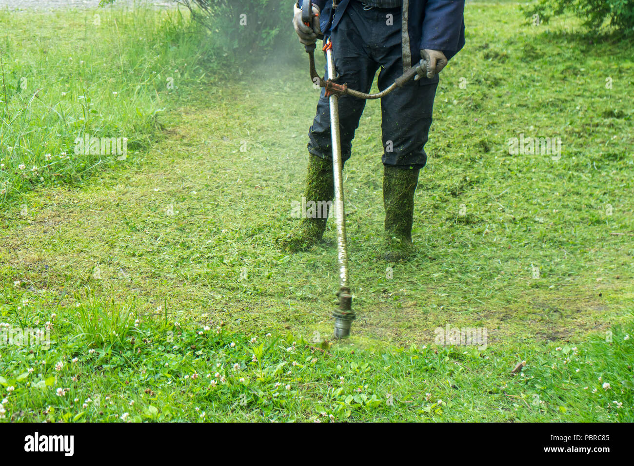 The gardener cutting grass by lawn mower Stock Photo - Alamy