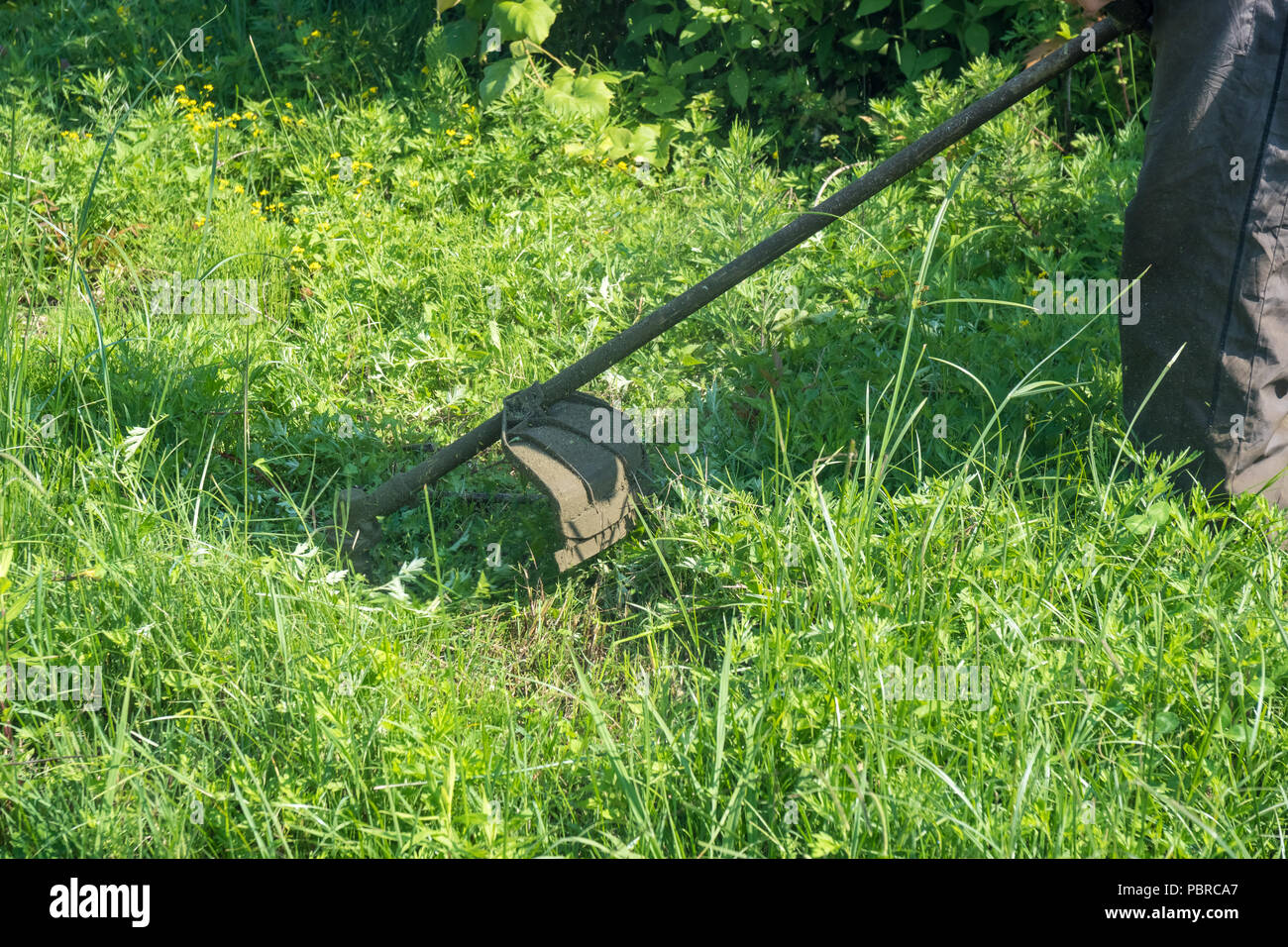 The gardener cutting grass by lawn mower Stock Photo - Alamy