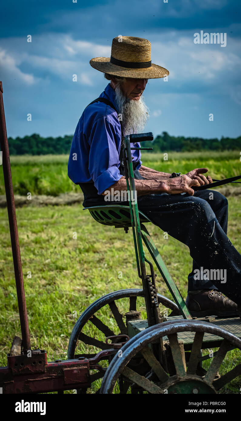 Amish farmer harvesting hay bales Stock Photo - Alamy