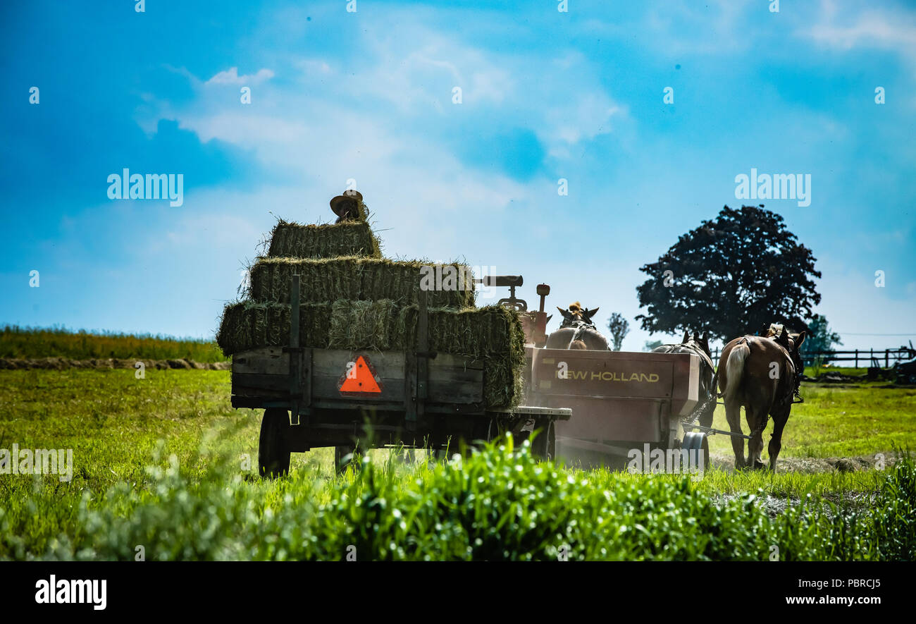 Amish farmer hi-res stock photography and images - Alamy
