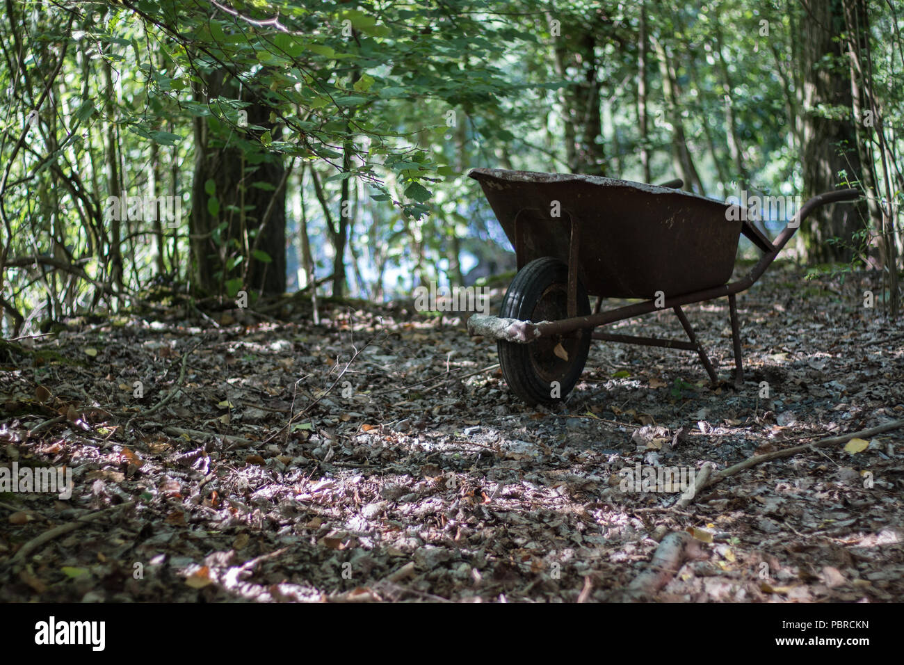 wheelbarrow in the forest, wood shed Stock Photo - Alamy