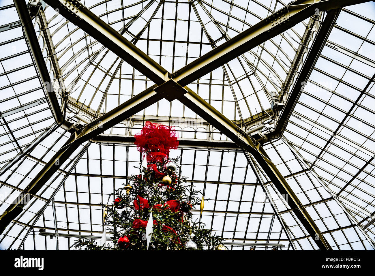 Floral greenhouse interiors Stock Photo - Alamy