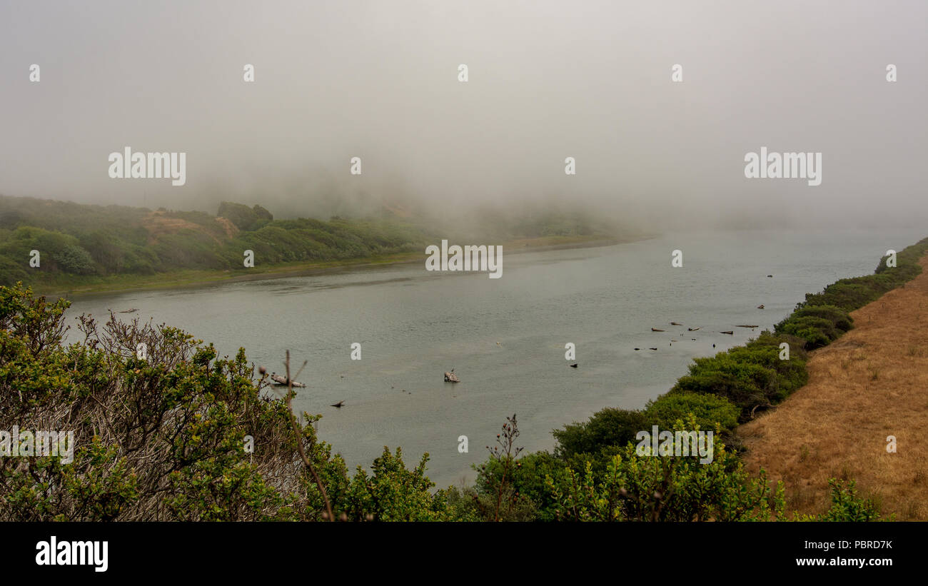 Landscape view of the Russian River near Duncans Mills, California, USA ...