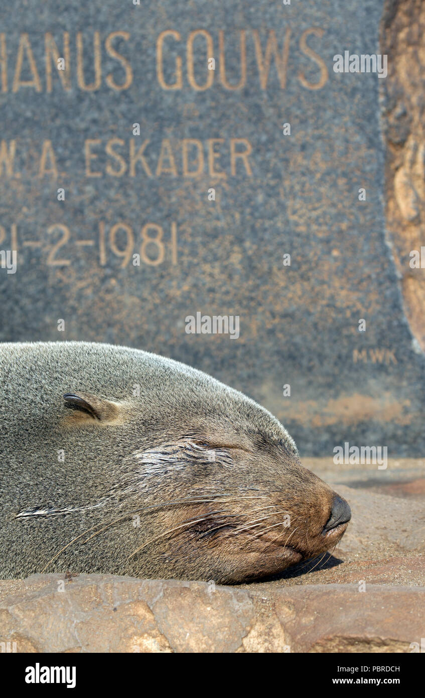Monument to pieter stephanus gouws hi-res stock photography and images ...