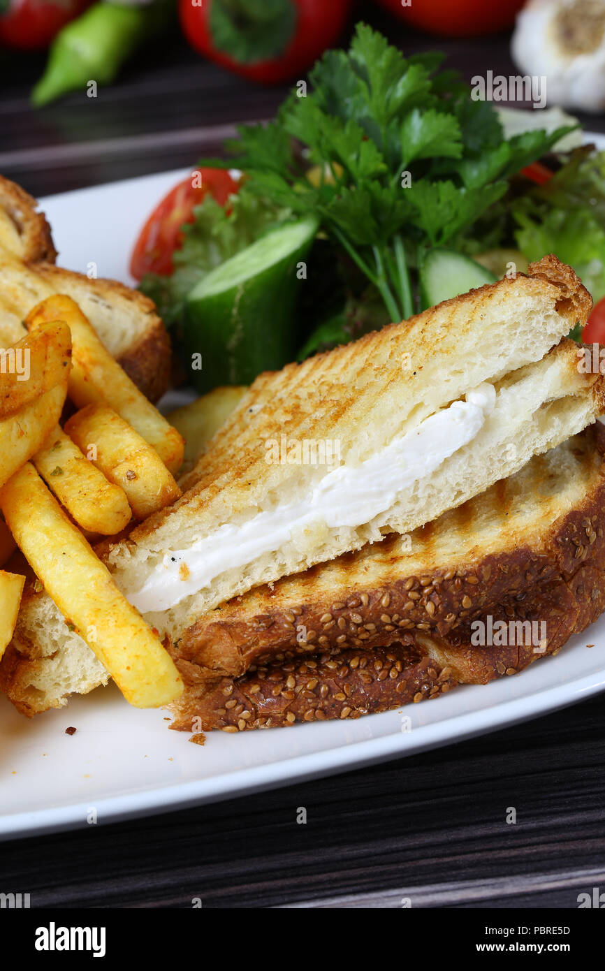 Fresh toasted panini sandwich Stock Photo - Alamy