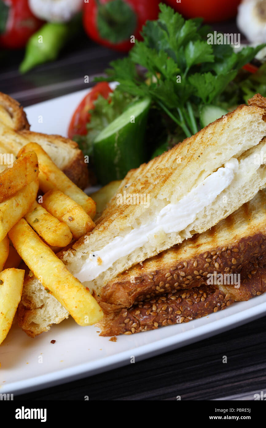 Fresh toasted panini sandwich Stock Photo - Alamy