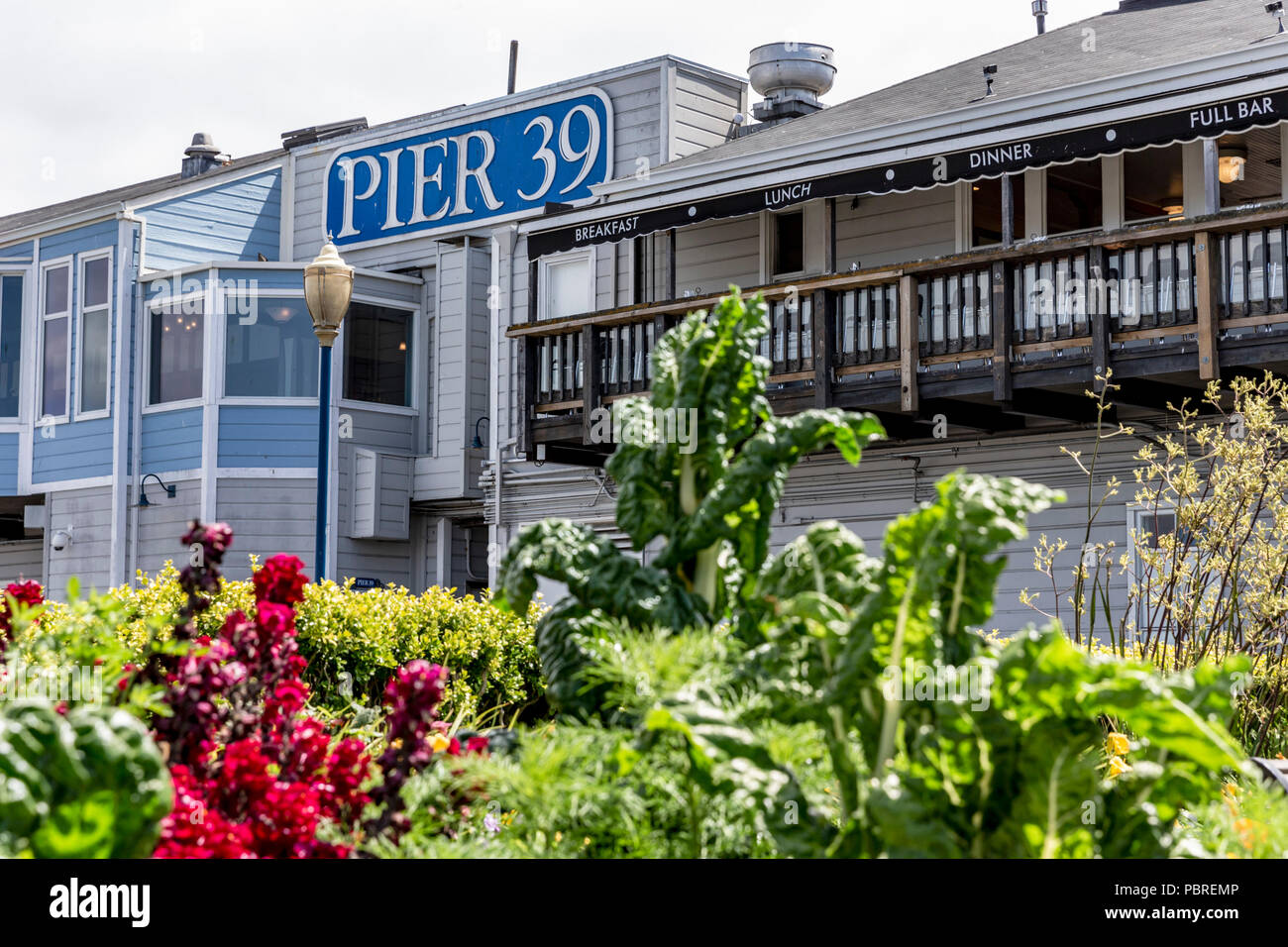 Pier 39 san francisco hi-res stock photography and images - Alamy