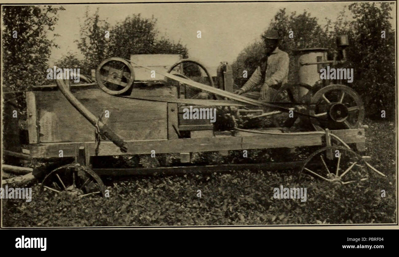 "The Codling Moth" (1903 Stock Photo - Alamy