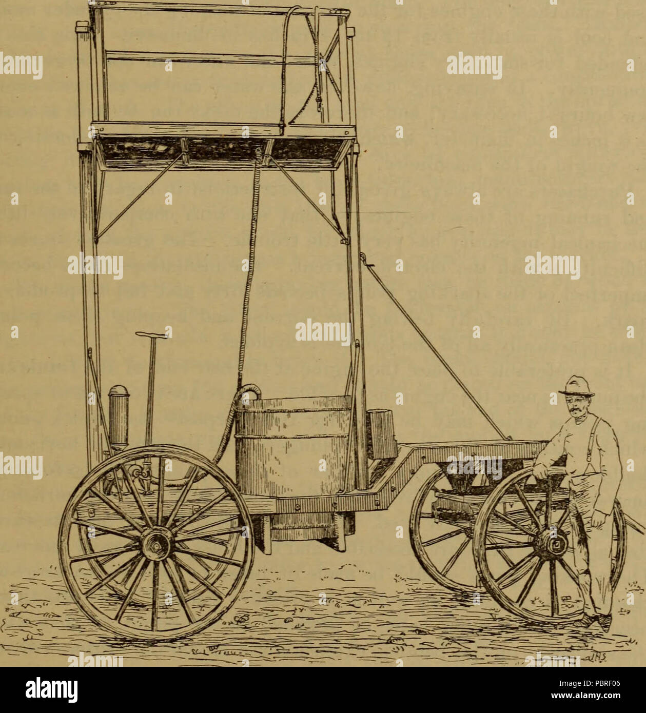 "The Codling Moth" (1903 Stock Photo - Alamy