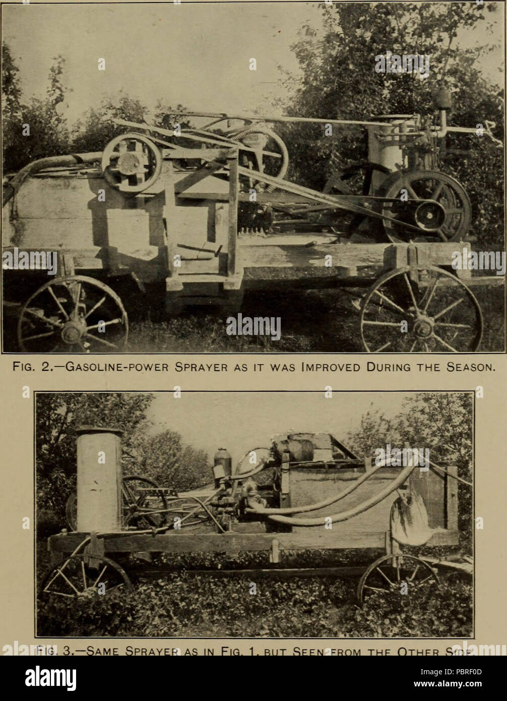 "The Codling Moth" (1903 Stock Photo - Alamy