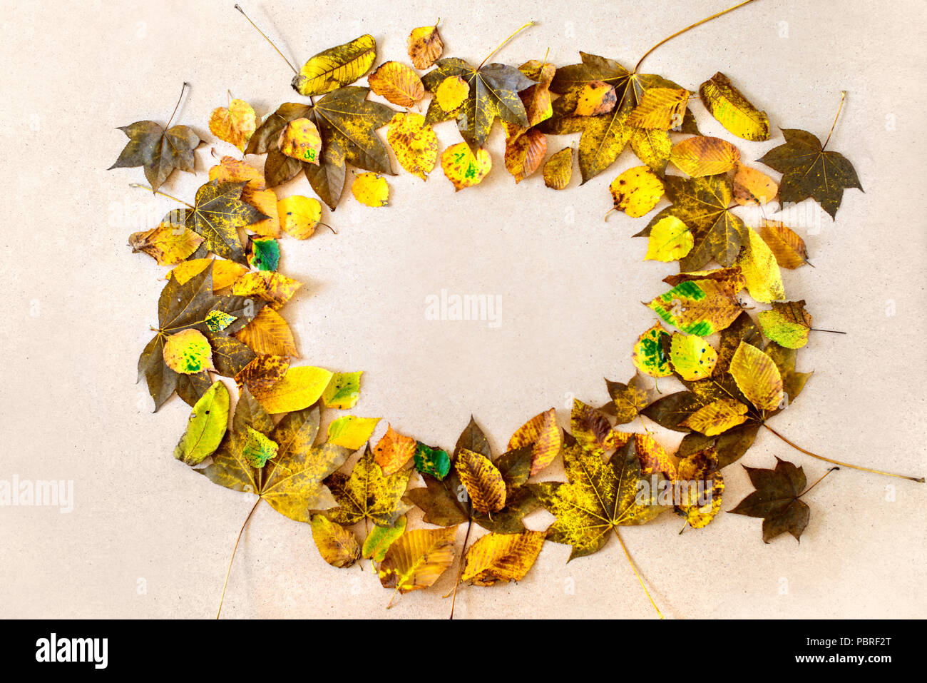 Autumn leaves ornate border on paper with free copy space Stock Photo ...
