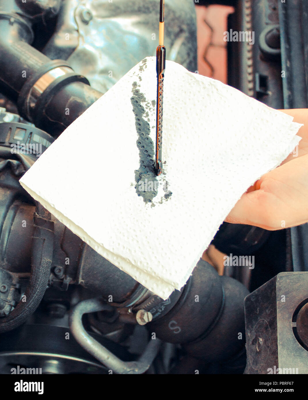 Auto mechanic checking oil level in car engine, technology Stock Photo ...