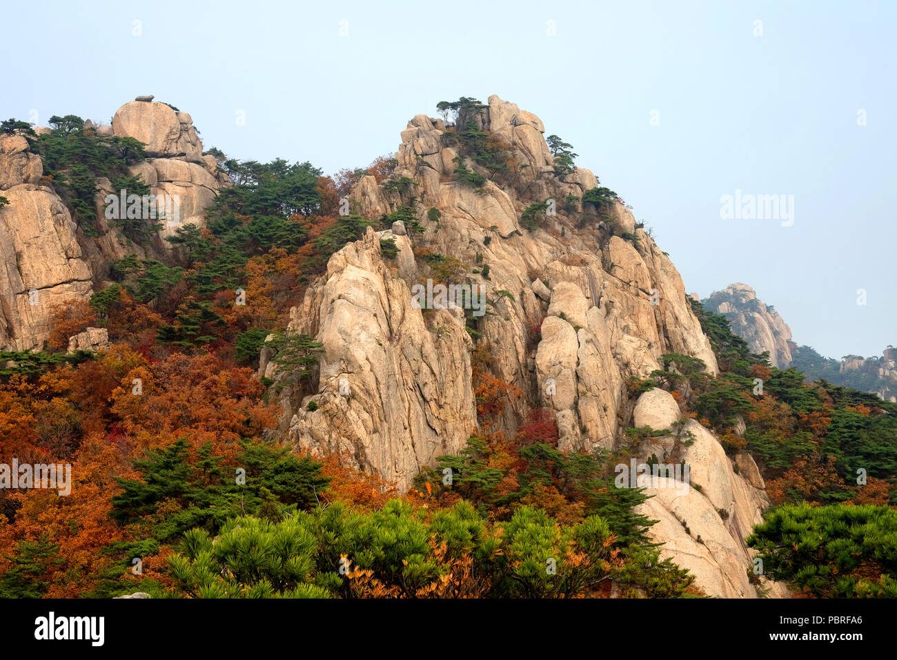 Autumn forest mountains in South Korea background Stock Photo - Alamy