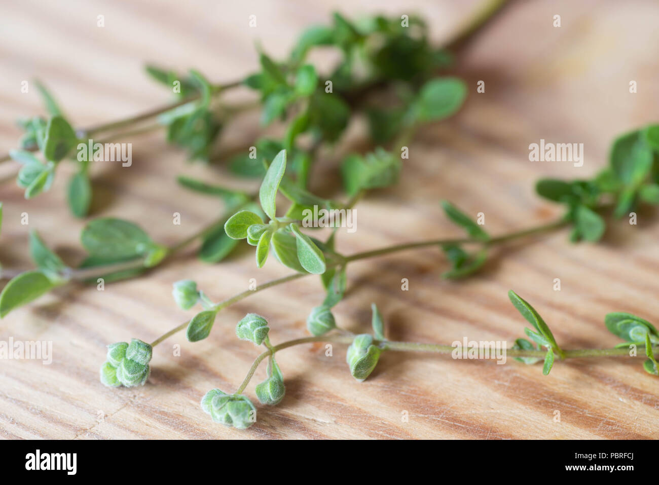 Marjoram leaves hi-res stock photography and images - Alamy