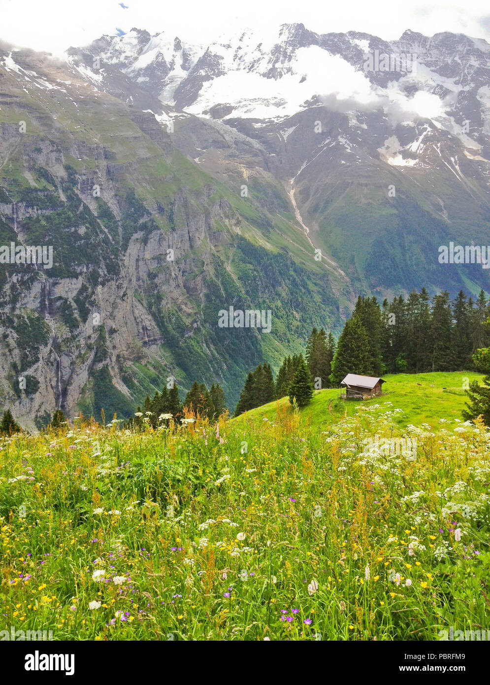 Beautiful Murren Landscape view, Summer Mountain Cottage with ...