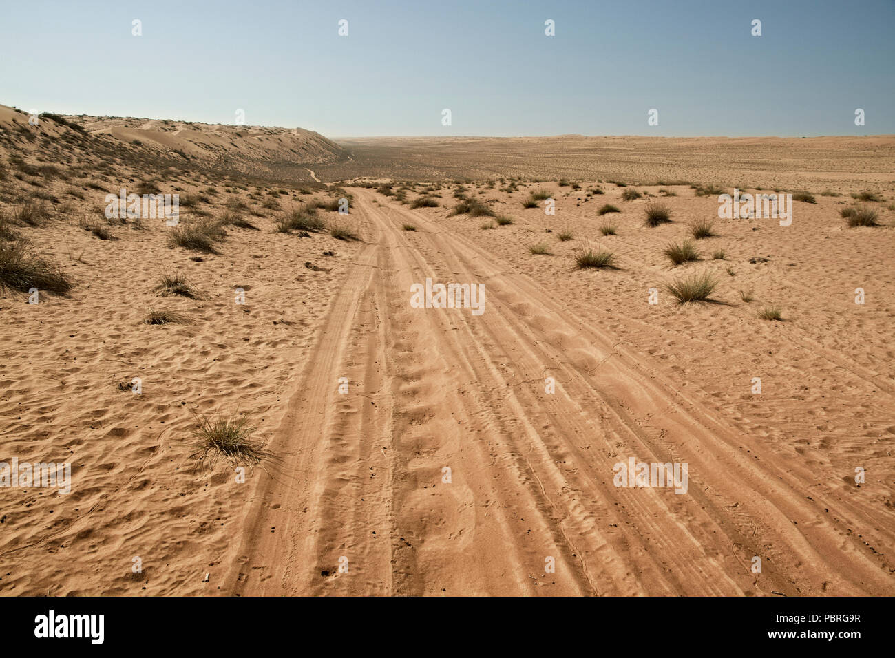 Tyre / Tire Tracks Through The Desert Sand Dunes Stock Photo - Alamy