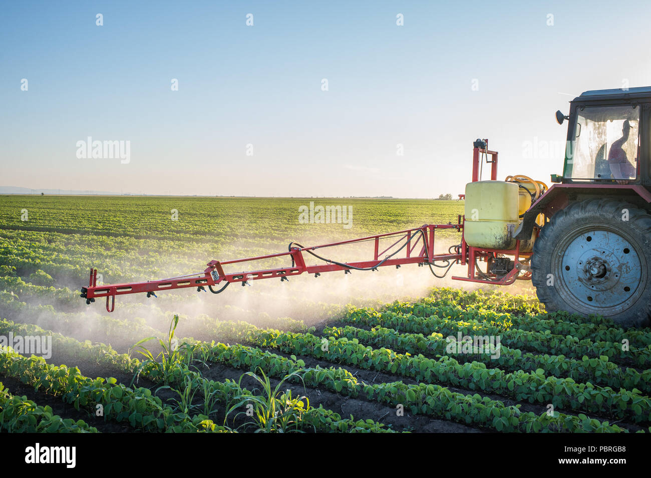 Tractor spraying soybean field at spring Stock Photo - Alamy