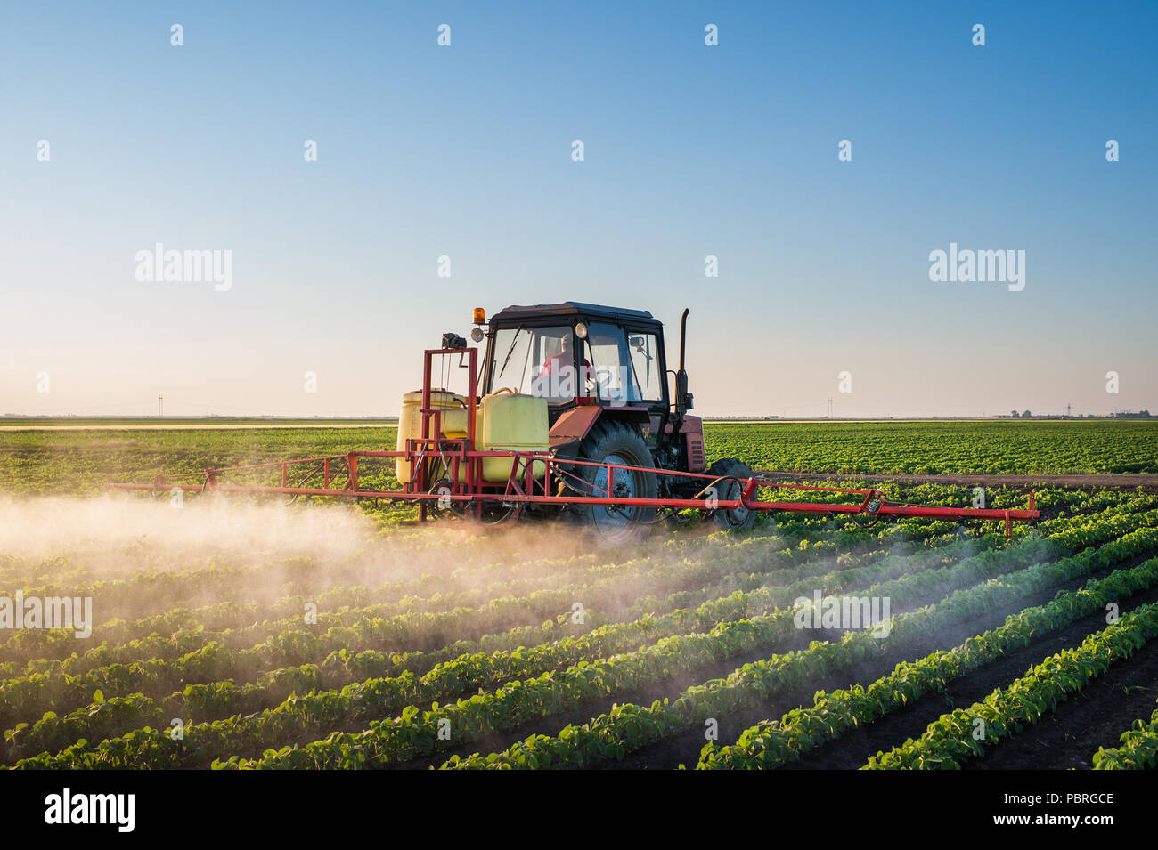 Tractor spraying soybean field at spring Stock Photo - Alamy