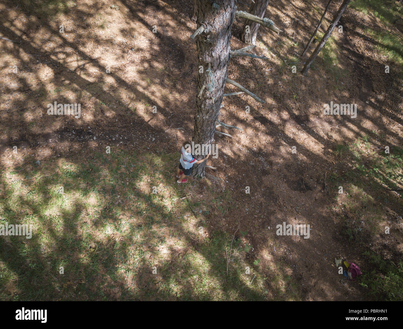 high top view of young man hugging and loving pine tree in the forest ...