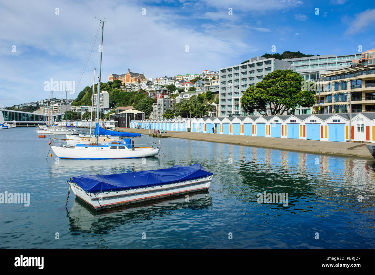 Little north island hi-res stock photography and images - Alamy