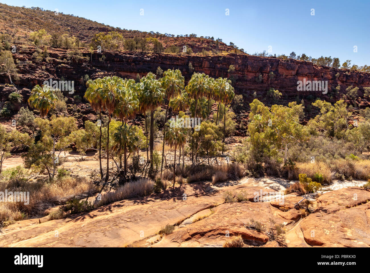 Palm Valley, Finke Gorge National Park in Northern Territory, Australia ...