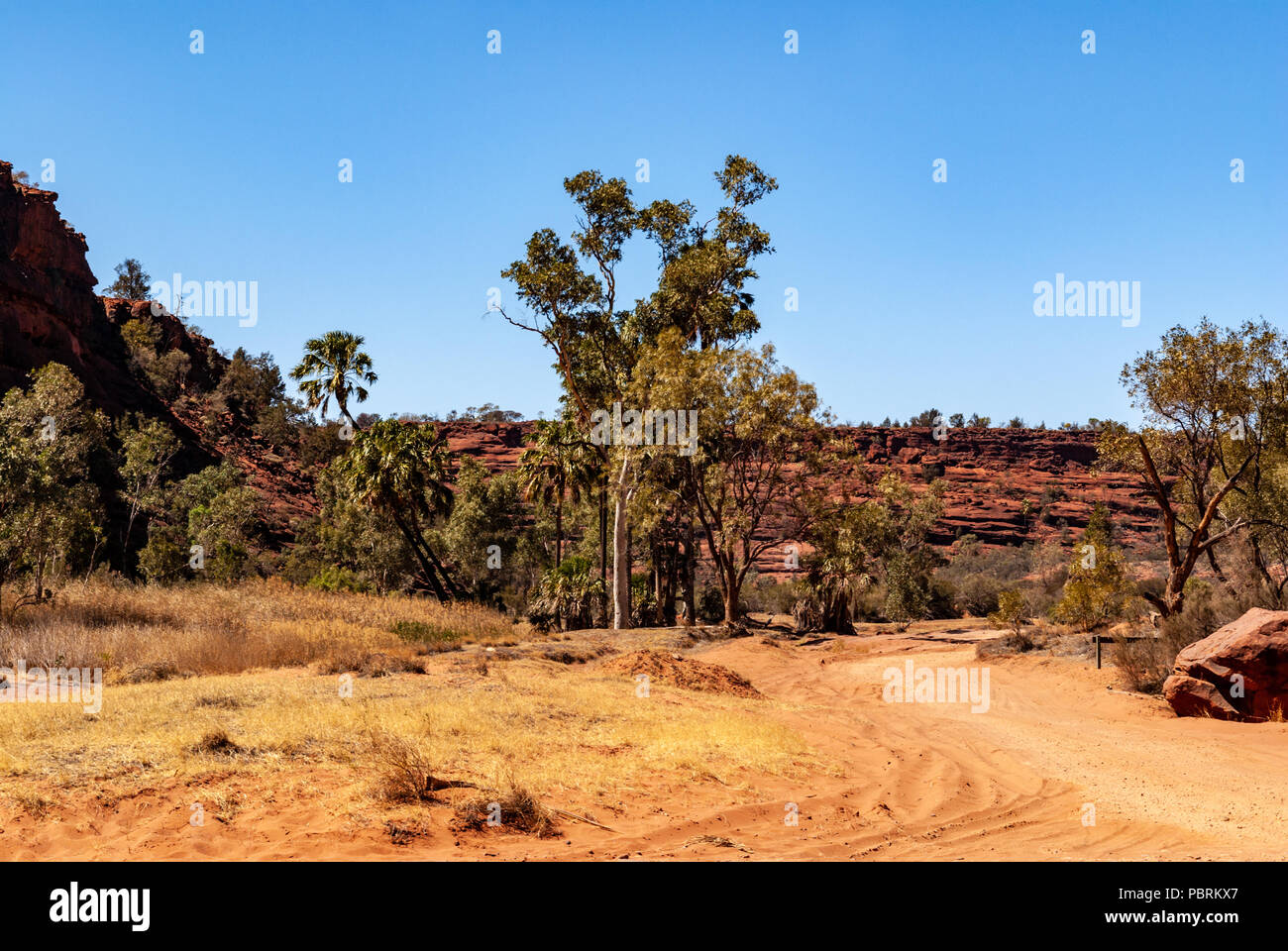 Palm Valley, Finke Gorge National Park in Northern Territory, Australia ...
