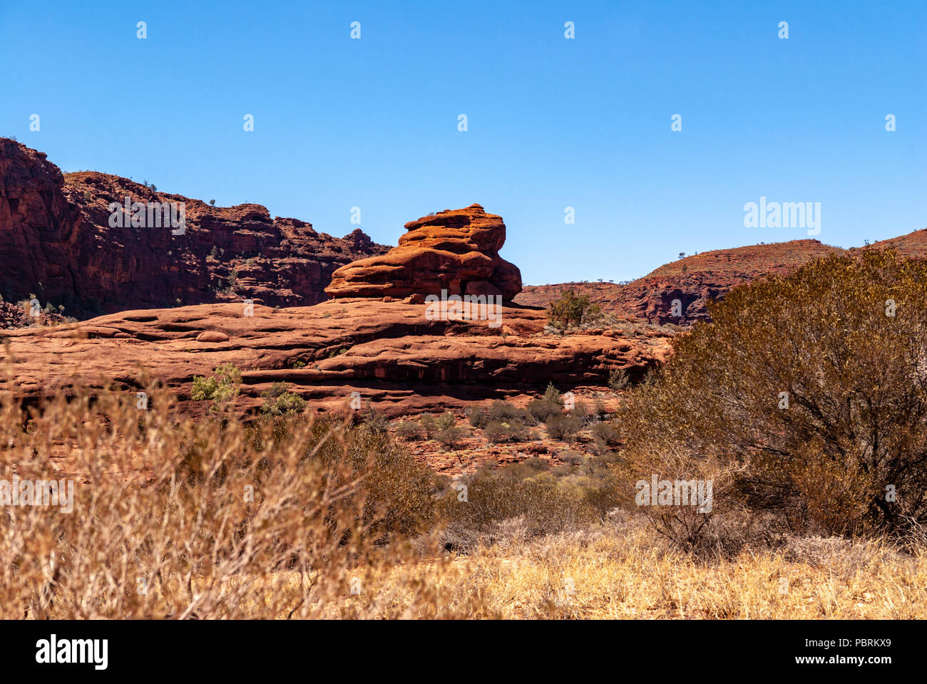 Palm Valley, Finke Gorge National Park in Northern Territory, Australia ...