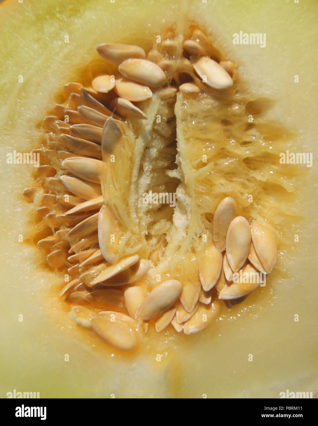 Seed Pulp High Resolution Stock Photography and Images - Alamy