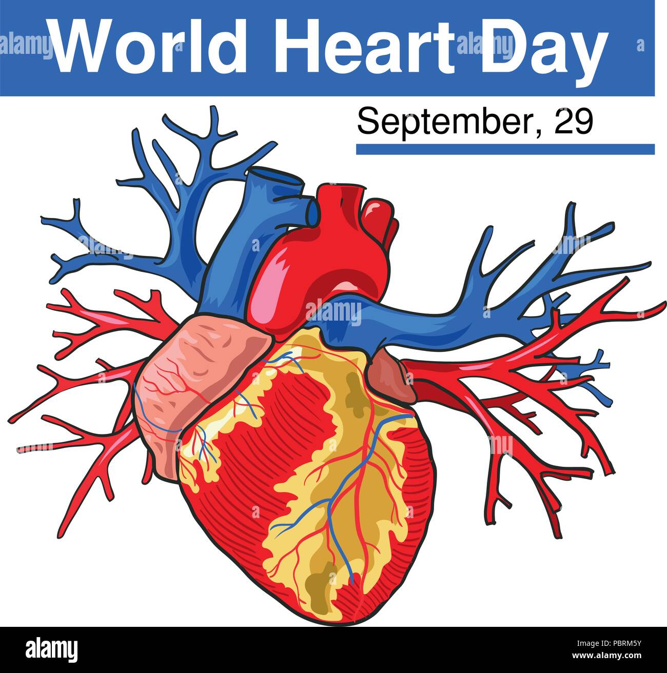 World Heart Day. 29 September. Vector illustration on white background ...