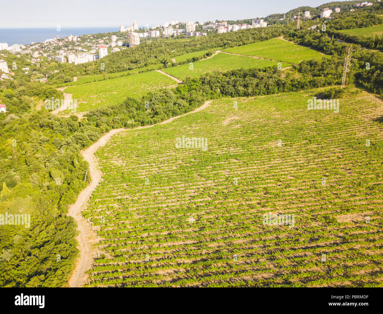 green farm plat plantation agriculture field aerial summer view Stock ...