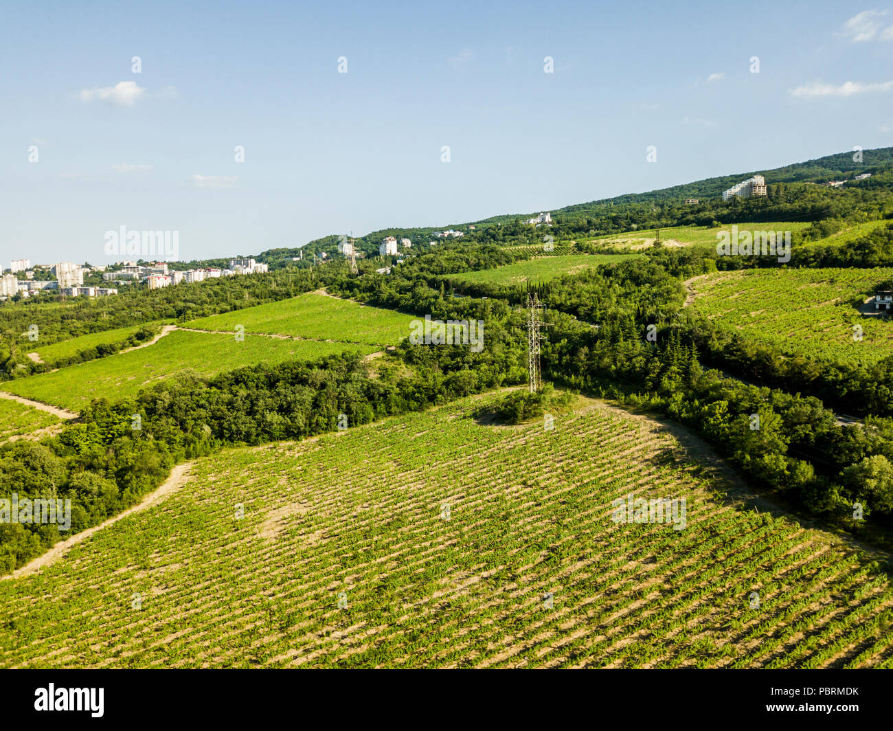 green farm plat plantation agriculture field aerial summer view Stock ...