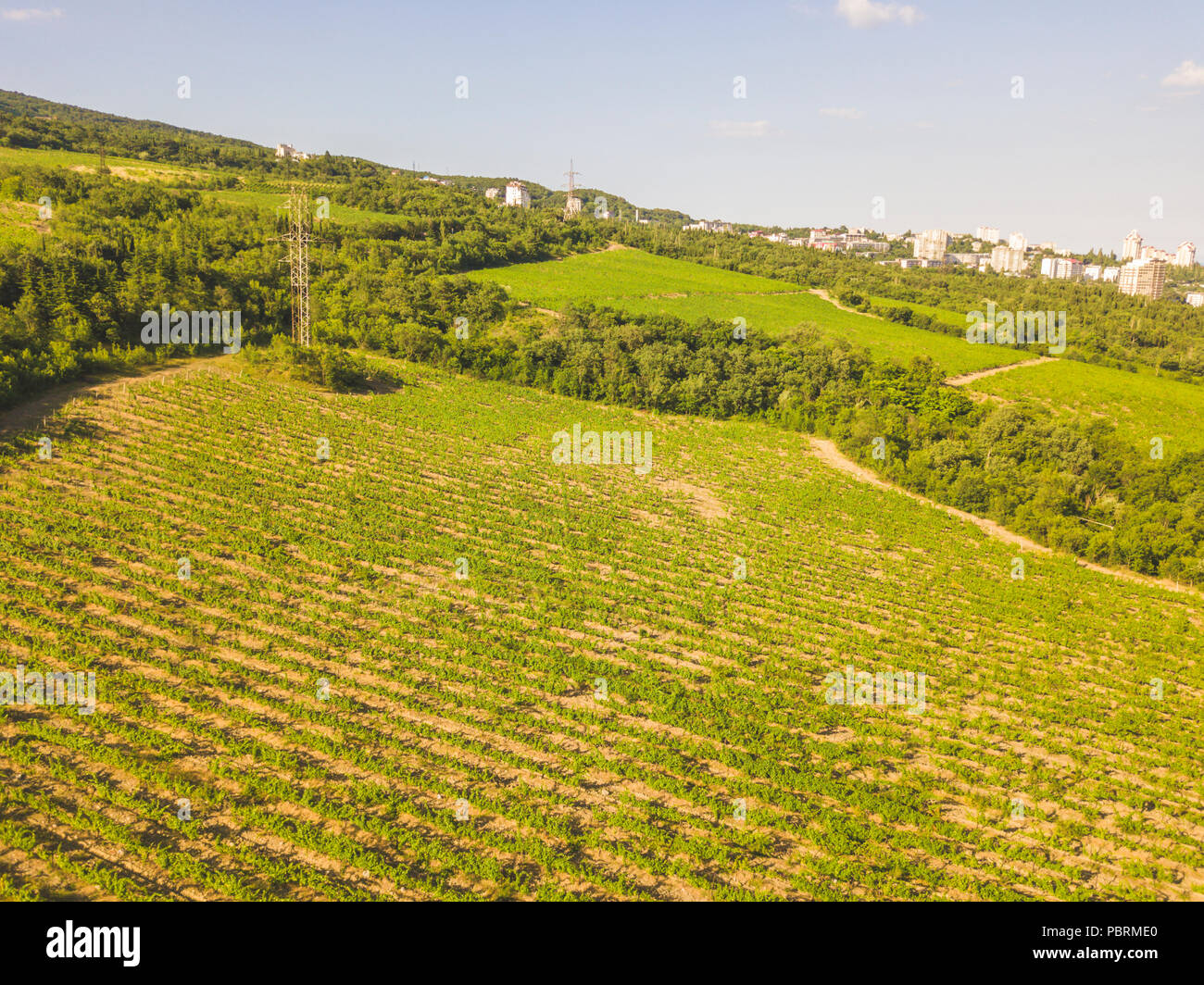 green farm plat plantation agriculture field aerial summer view Stock ...