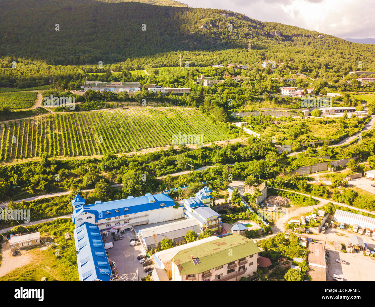 aerial agriculture mountain plantation fields on the mountain Stock ...