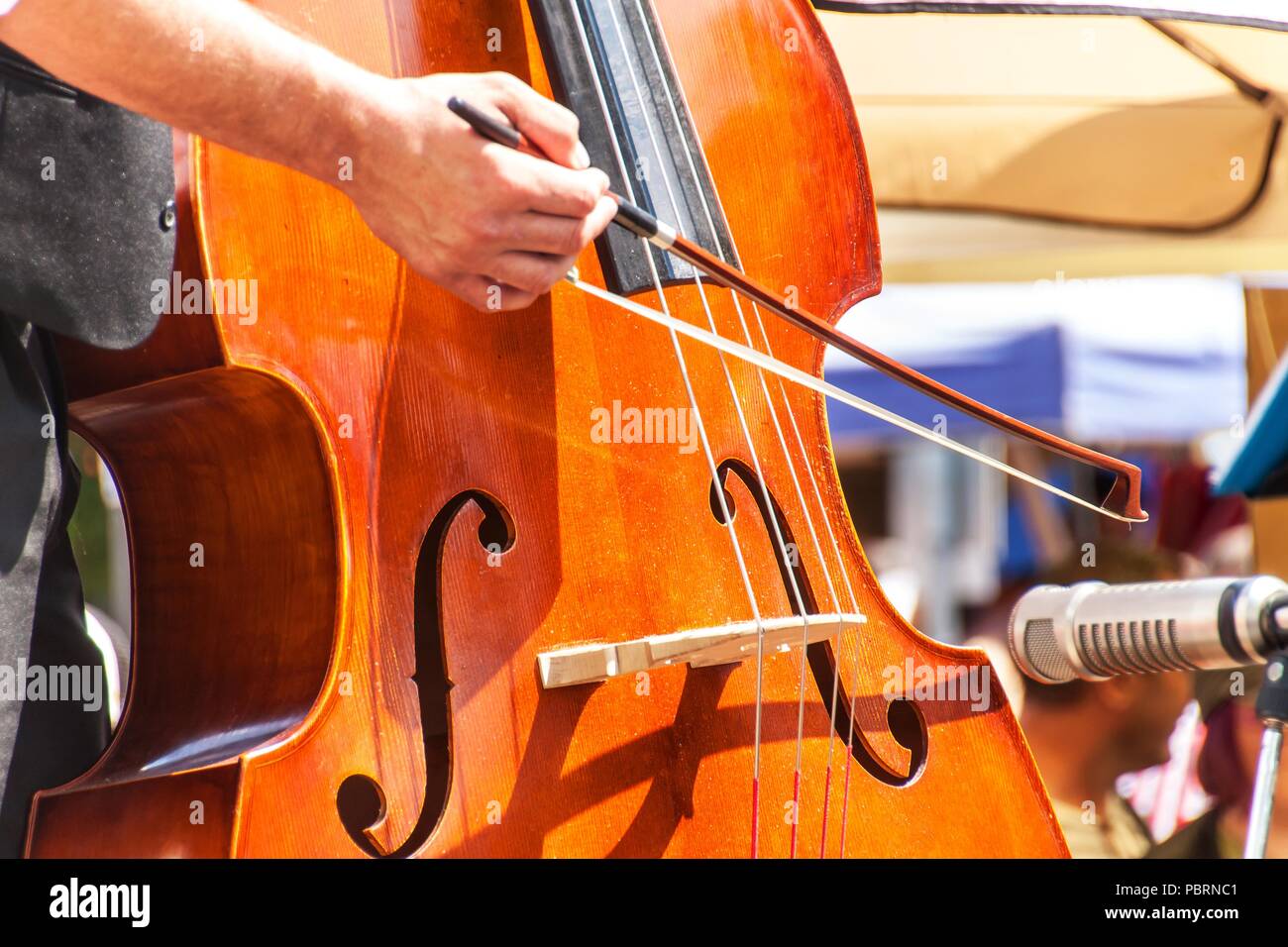 Detail of bass musical instrument. Artistic performances at folk ...