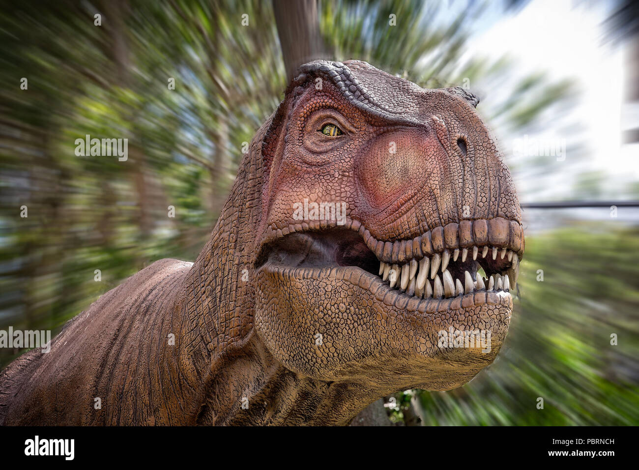 Life size tyrannosaurus rex model hi-res stock photography and images ...