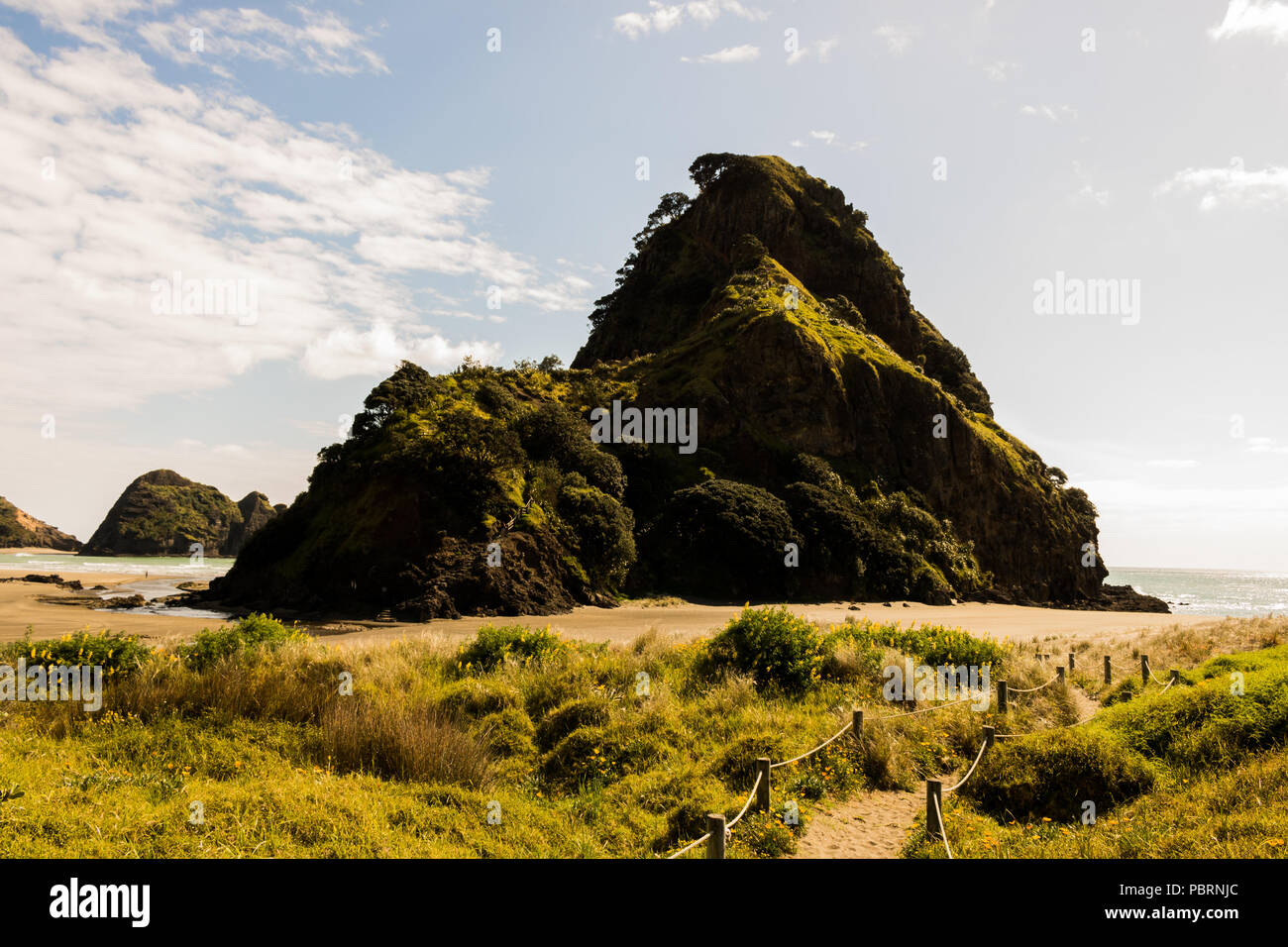 View of Lion's Rock at Piha Beach, North Island, New Zealand Stock ...